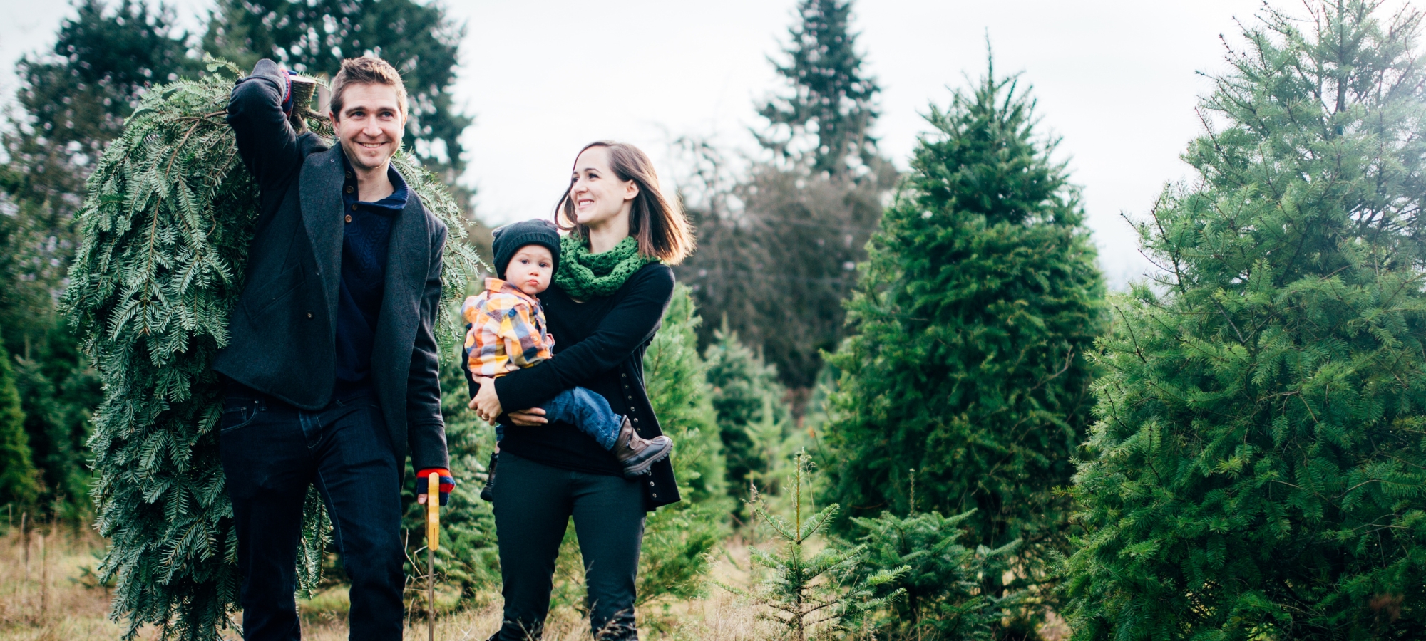 Activities - Matthes Tree Farm in Ida, MI