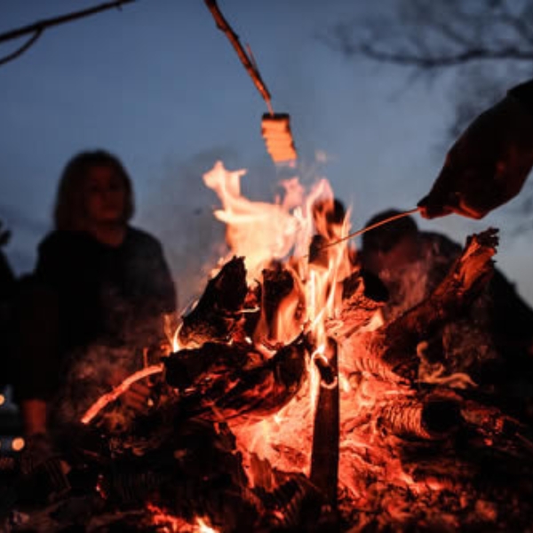 Activities - Matthes Tree Farm in Ida, MI